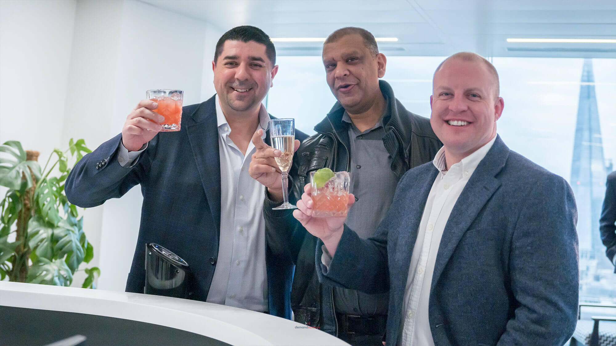 About DemandScience Group - DemandScience